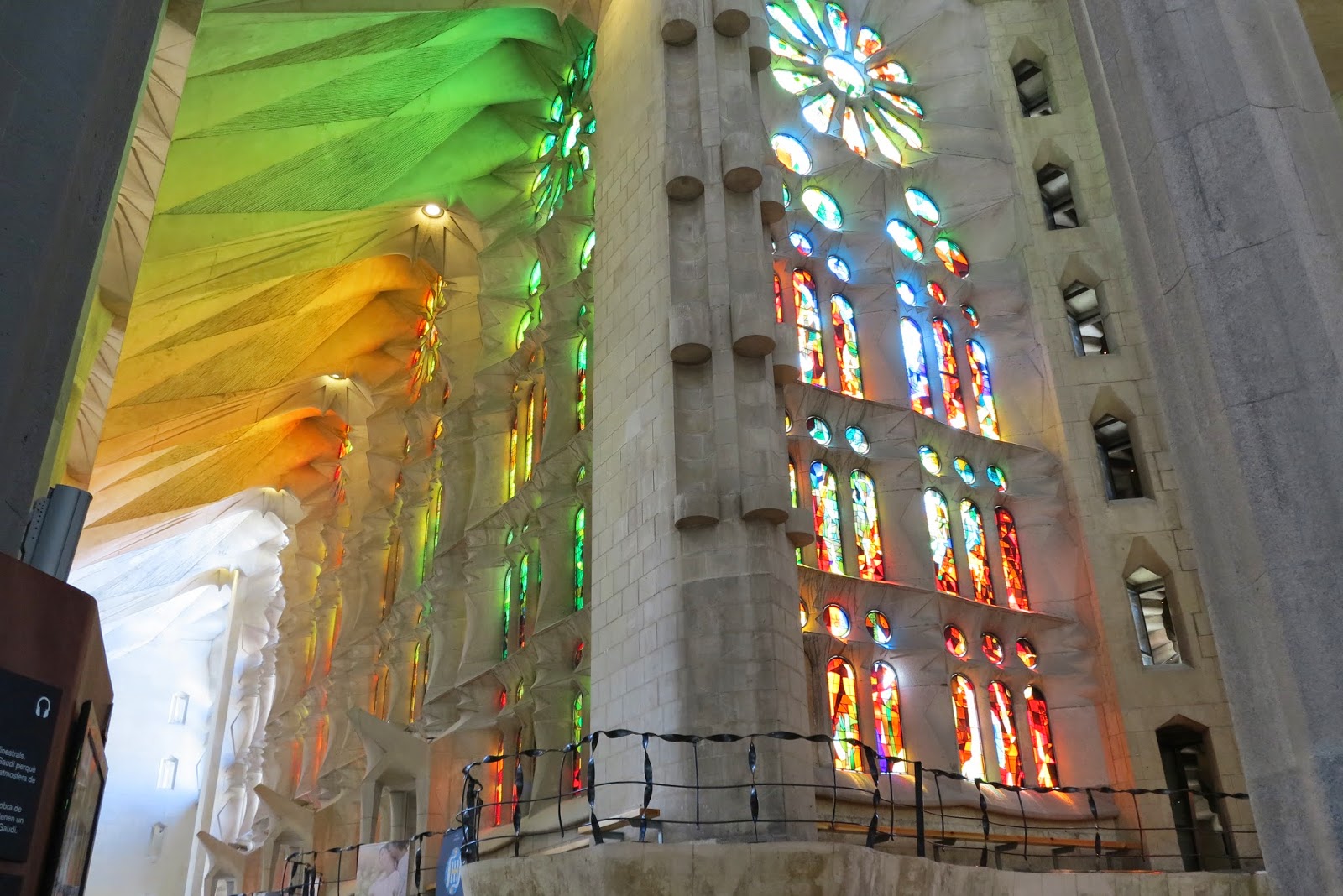 Clemmys guttata: la tortuga moteada: de maig 2014