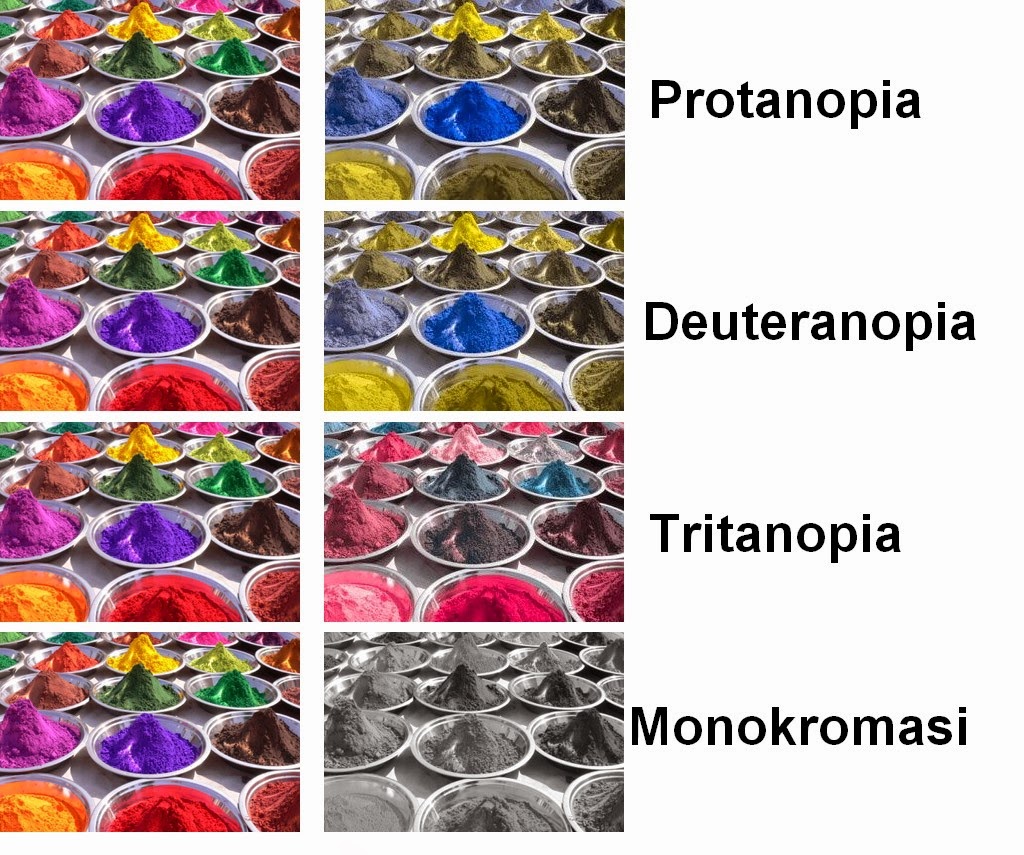 Buta Warna, Tes dan Bagaimana Penderita Melihat Warna-warni Dunia