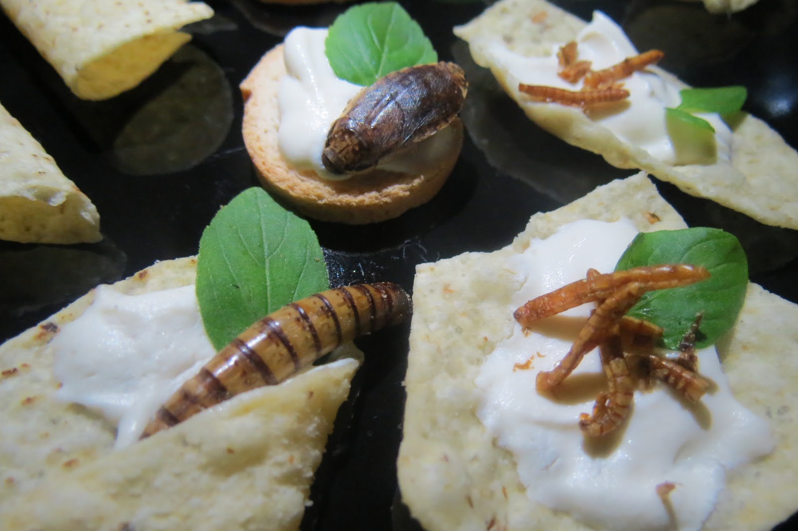 Gastronomia Univille: Insetos na Gastronomia - Entomofagia