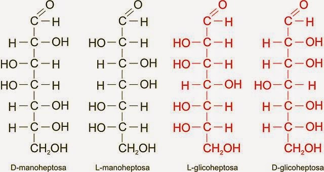 Biochemistry: Heptose