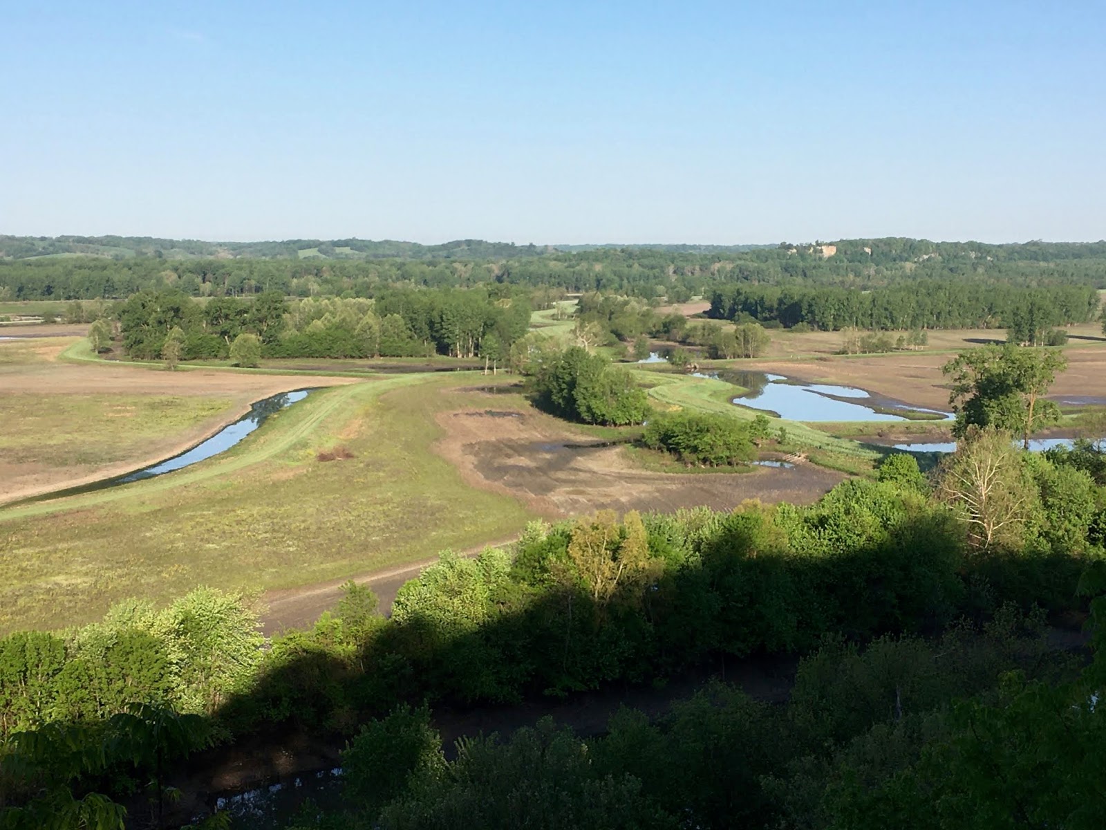 Nature's Blog: Trail to the Eagle Bluffs Overlook