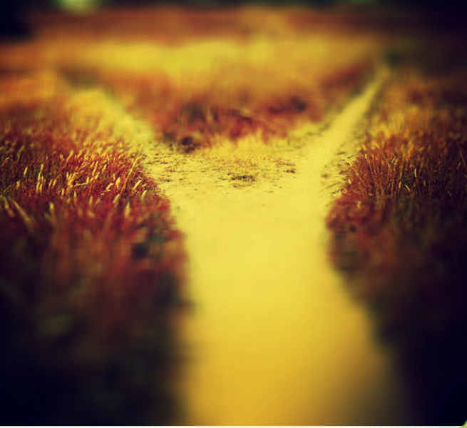 Sometimes I write, sometimes I am.: One life, three poems