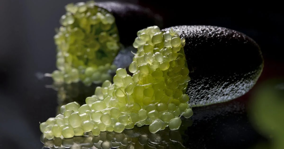 Savoring the Flavor of the Moment with Lemon Caviar!