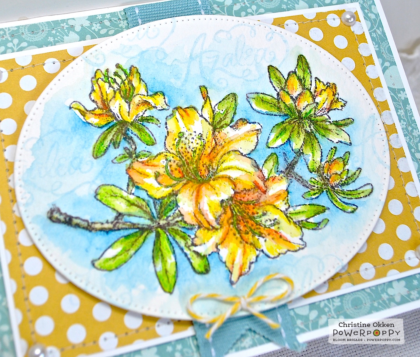 ChristineCreations: Inktense Azaleas
