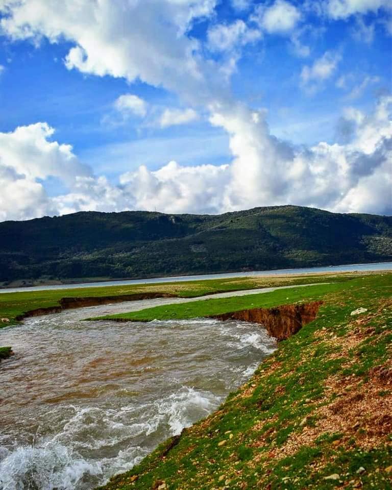 Κατούνα Νέα Ειδήσεις: ΕΣΠΑΣΕ Ο ΡΙΒΙΟΣ .........ΛΙΜΝΗ ΑΜΒΡΑΚΙΑ