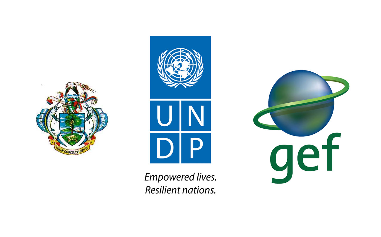 The Green Islands Foundation - Seychelles: Surveying the marine ...