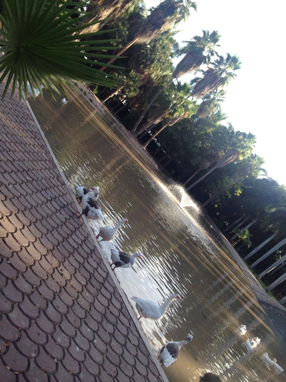 PARQUE SINALOA : NUESTRO PARQUE