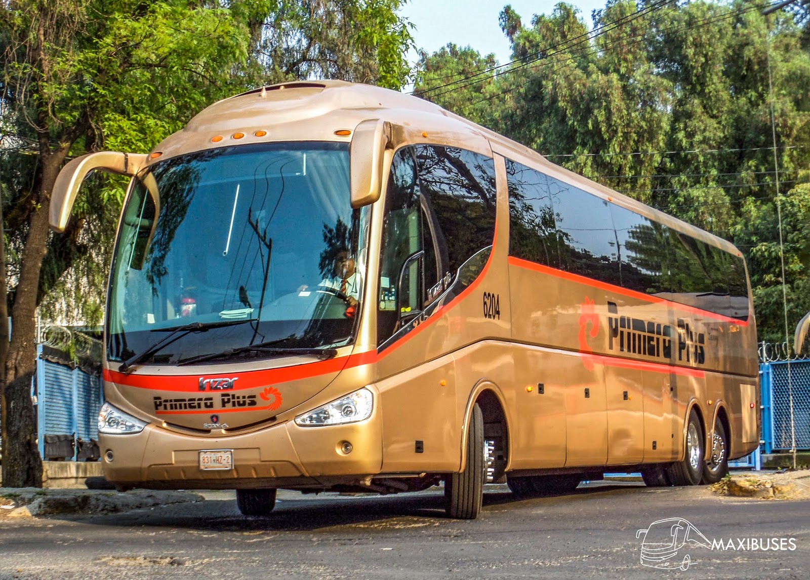 MAXIBUSES: PRIMERA PLUS