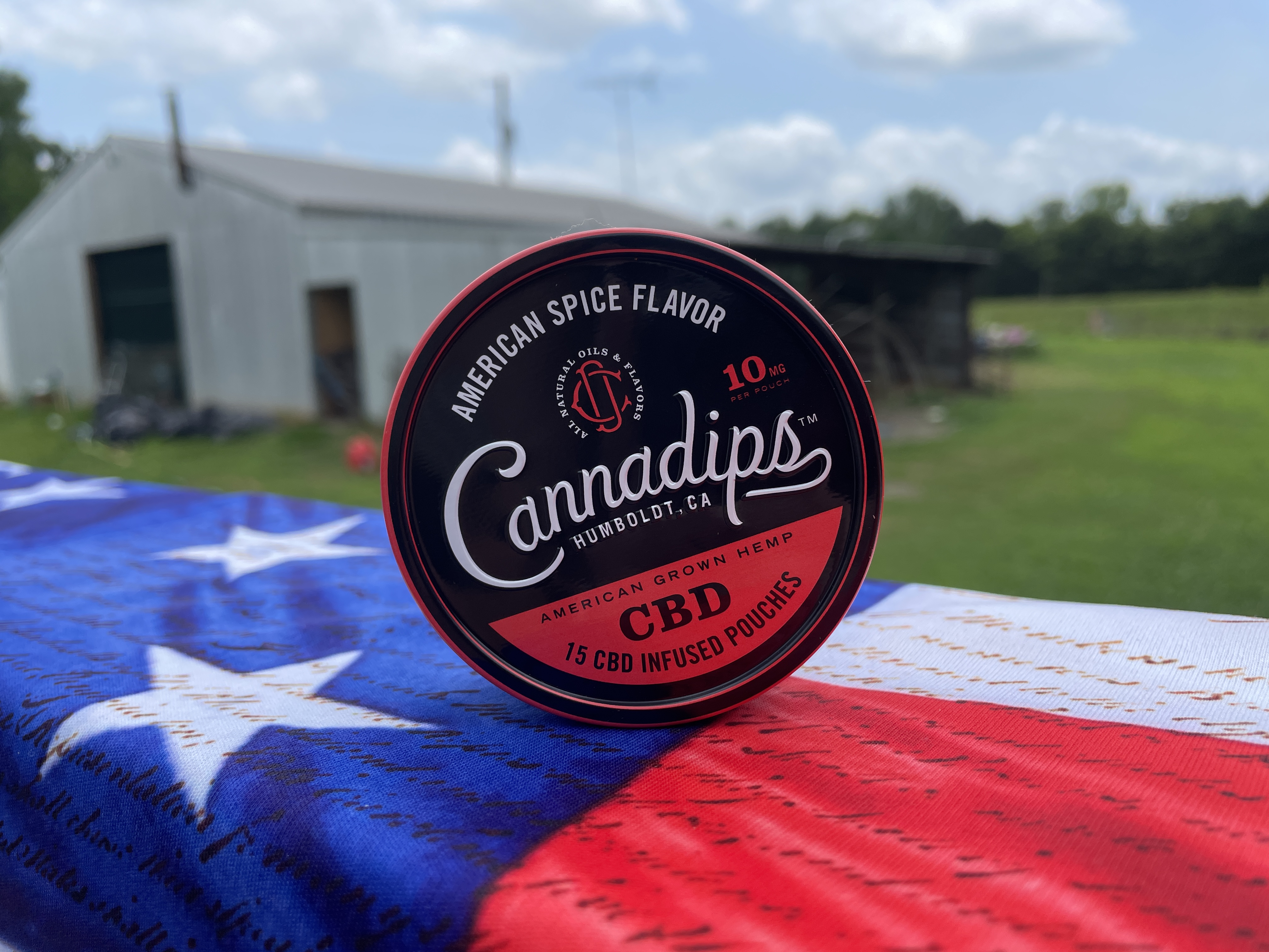 Cannadips American Spice (CBD Pouches) - Review. 26 June 2021.
