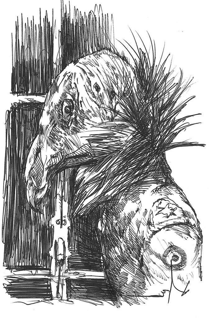 Araucaria: OPÉRATION CONDOR LA FEMME D'ALEXEI JACCARD FAIT APPEL D'UN ...