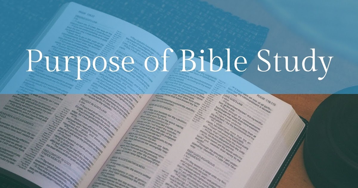 Shield of Hope - ( Bible Study)
