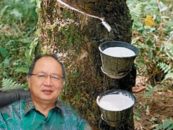 Sabahkini.net - Reveal The Truth, Prevail The Faith: RM195 JUTA UNTUK ...