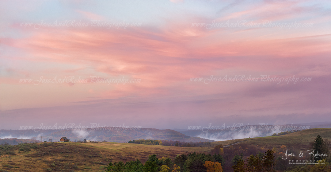 Elk Viewing | Visit Pennsylvania – Complete Guide with Resources