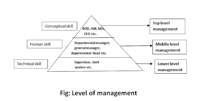 INTRODUCTION TO MANAGEMENT