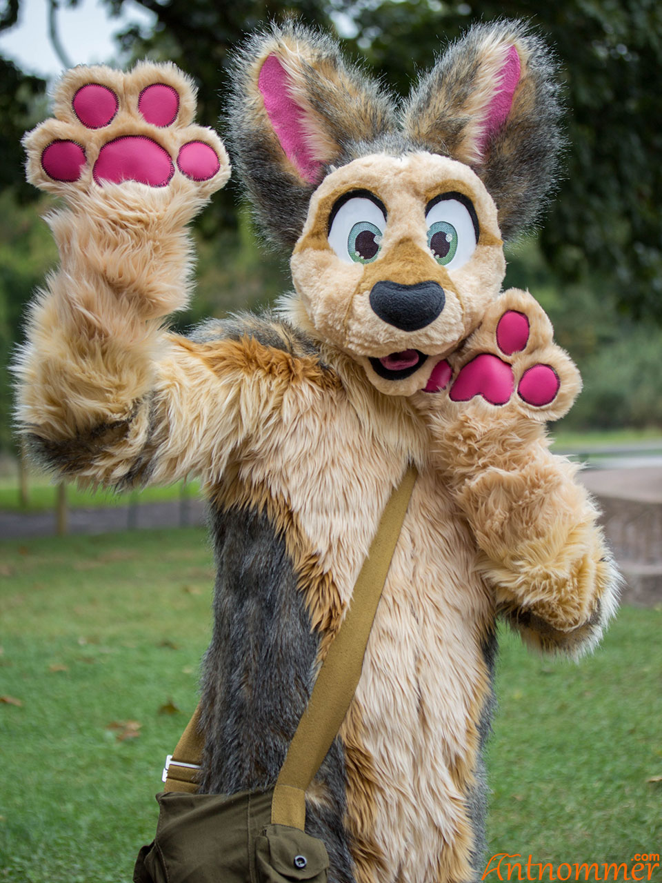 Just Anteater Things: Looking Back: Western Pennsylvania Furry Weekend