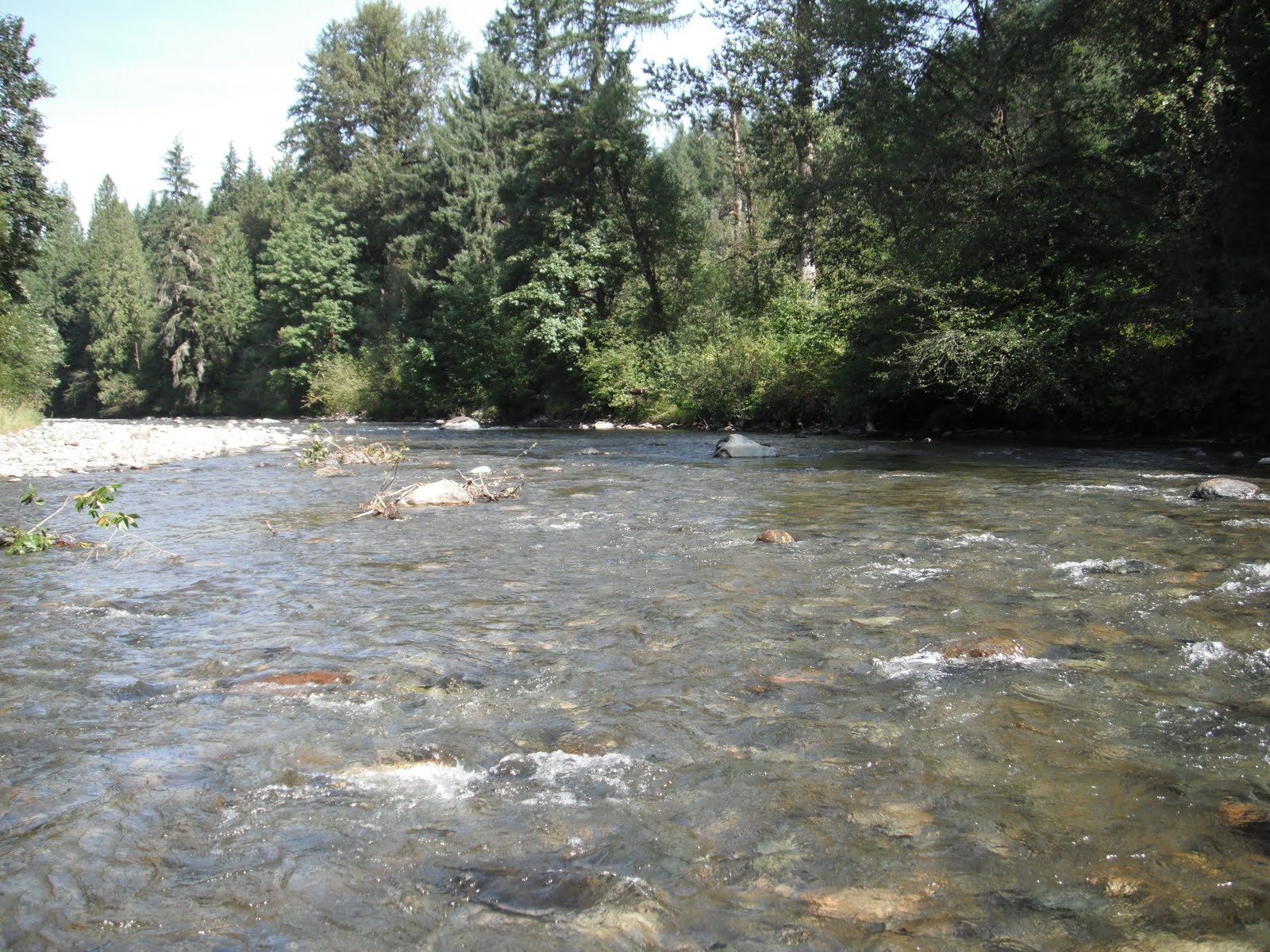 Where I have Fished: Tolt River, WA