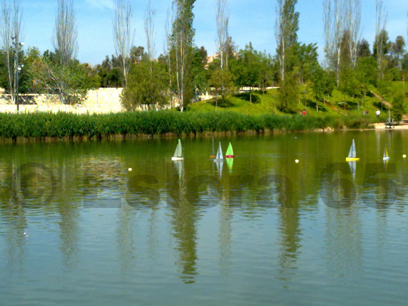 ESLORA 65: 4ª REGATA DE ESLORA 65