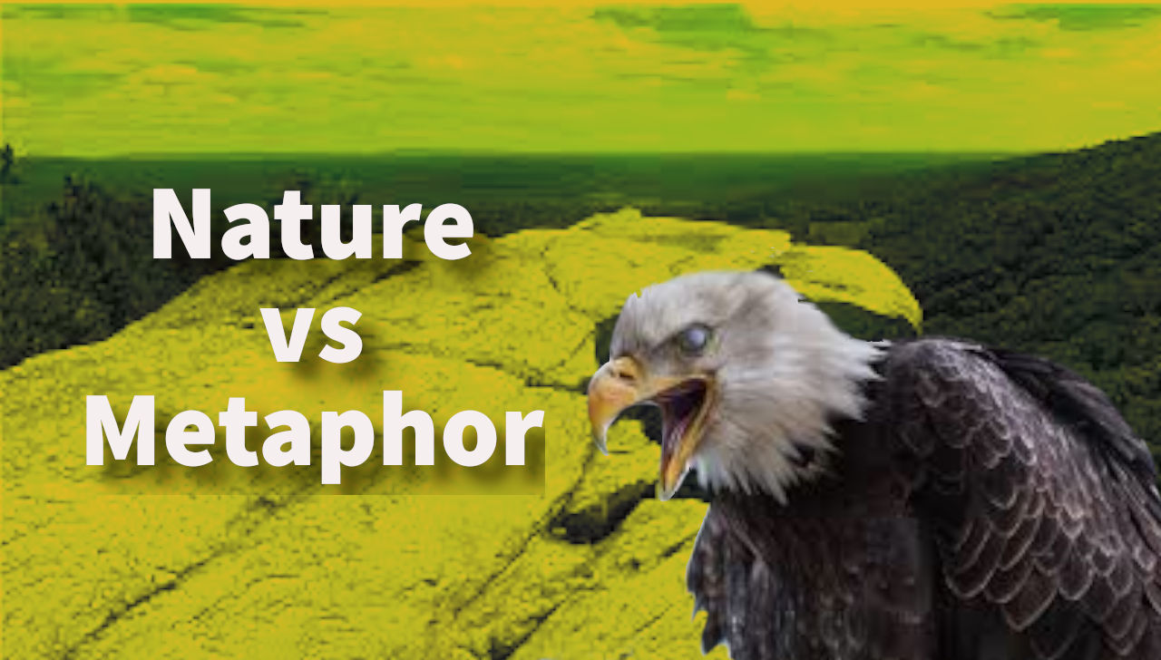 Metaphorical Use of Nature in the Poem, The Eagle by Tennyson