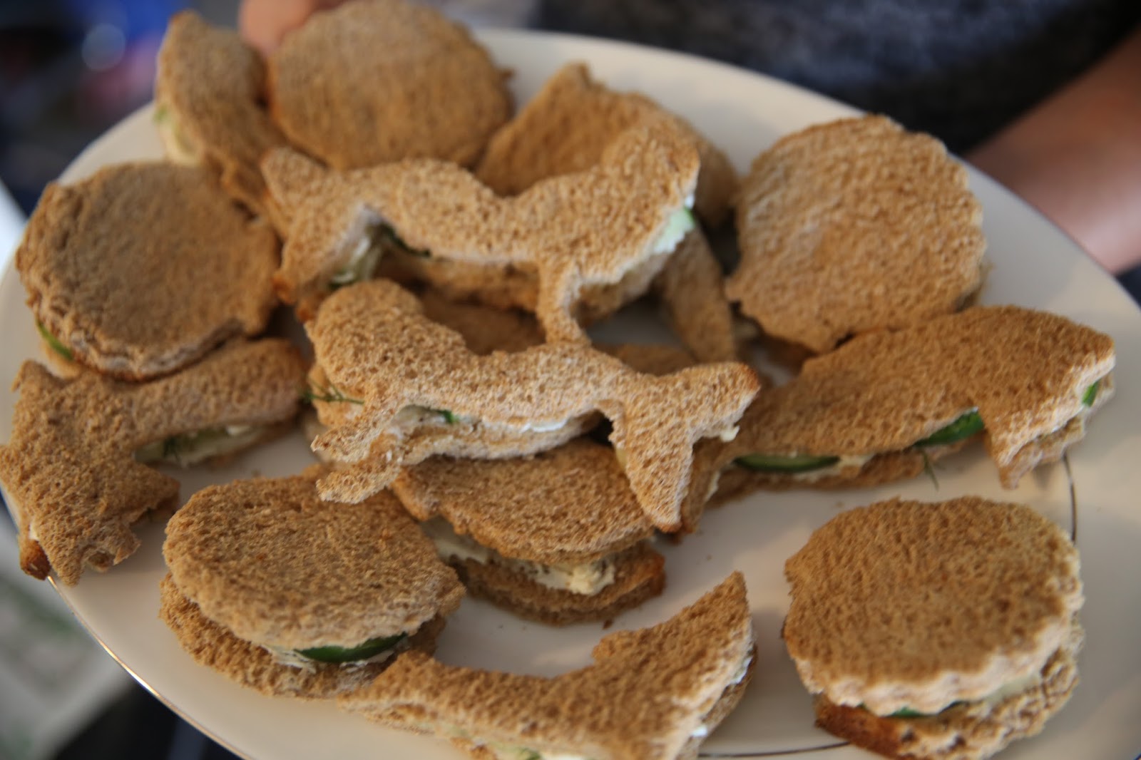 Hawks and honey: Sonja's Sixth Birthday {Mermaid Theme}