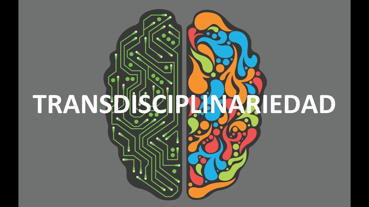 La transdisciplinariedad