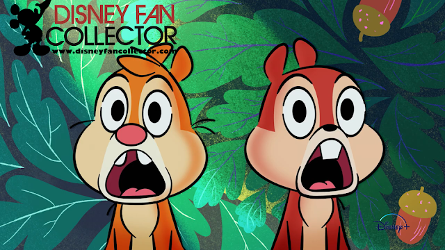 Disney Fan Collector