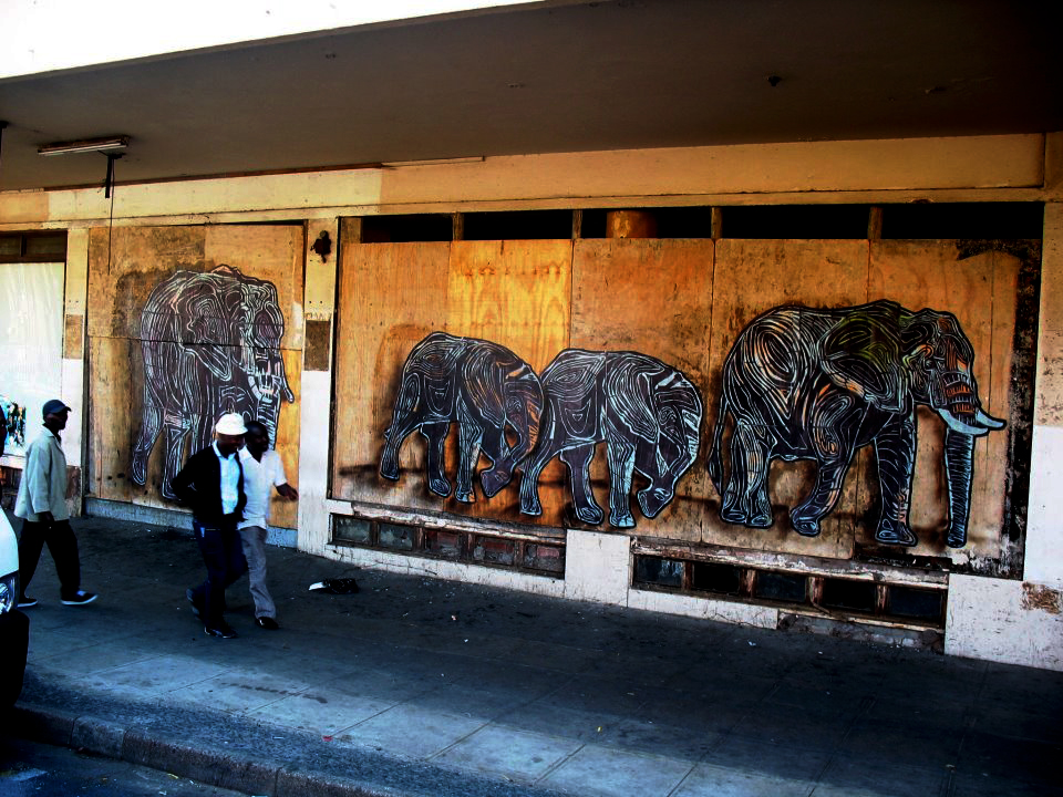 CANVAS CITY: MOOK LION ~ @PeterJohn