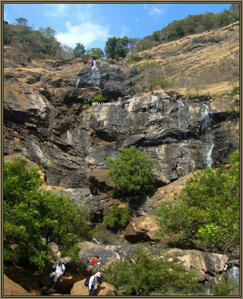 JOURNEY INTO DREAMS: March 2013