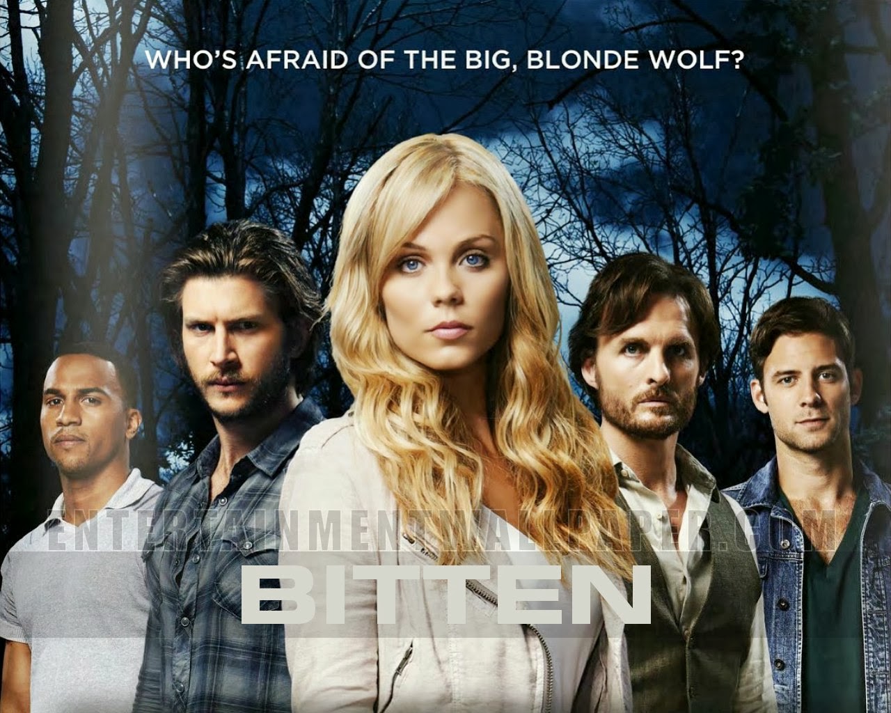 DormaineGblog: Bitten