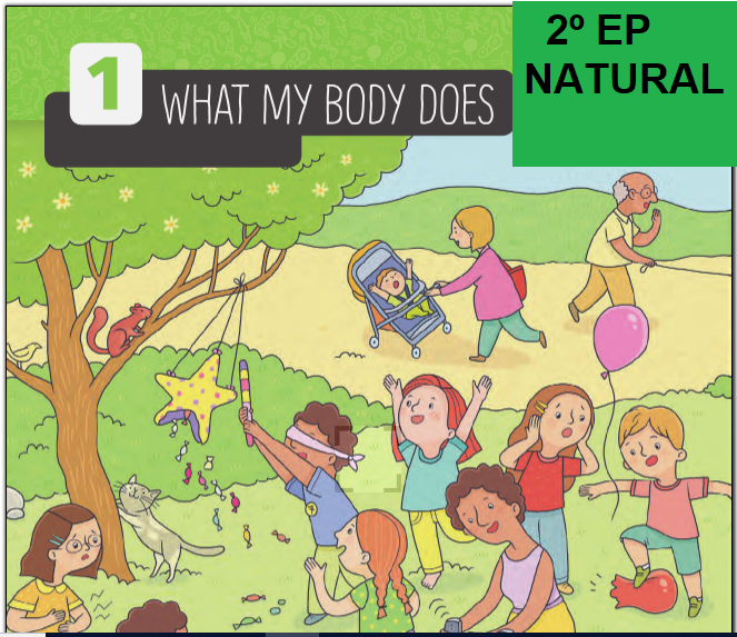 2º Natural Unit 1. How my body works