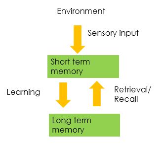 Long term memory: Spaced practice, testing and implications for ...