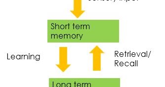 Long term memory: Spaced practice, testing and implications for ...