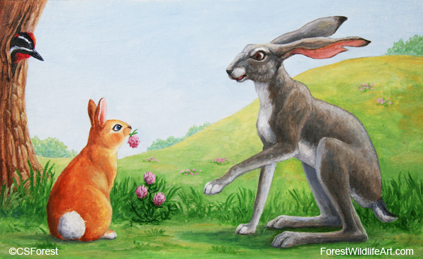 Crista Forest's Animals & Art: The Rabbit and the Hare