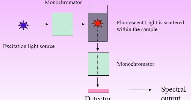 Instrumentation of Fluorescence Spectroscopy ( spectrofluorometer ) and ...