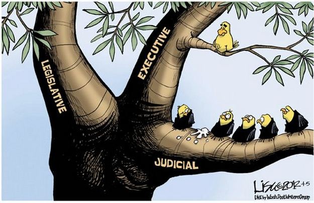 The District of Calamity: Angry Birds-The Federal Version