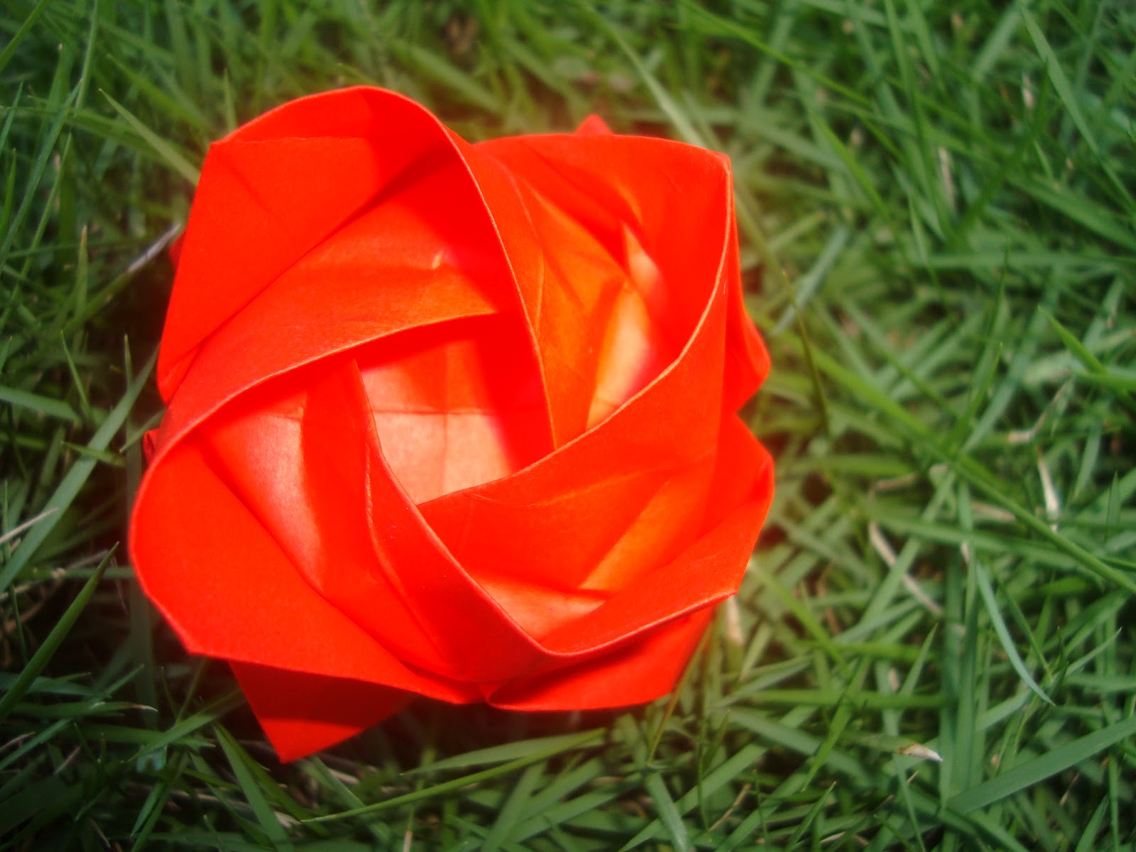 Special for you: Origami Bunga Mawar