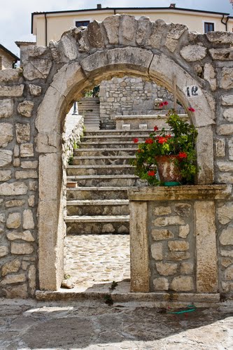 Studio Floral Dora Santoro: Fontana Rosa