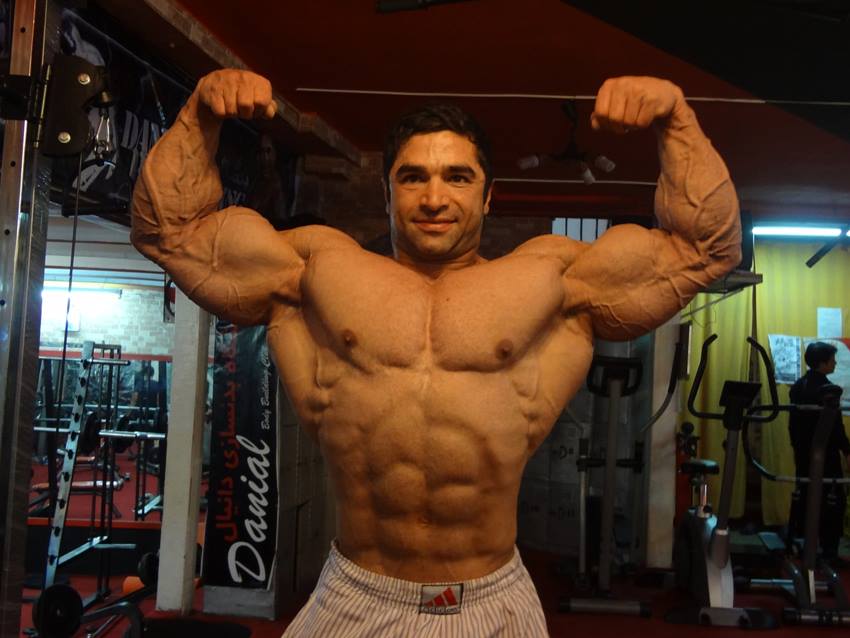 Muscle Lover: Iranian bodybuilder Majid Jameh Bozorg