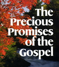 My Father's Words: God's Precious Promises