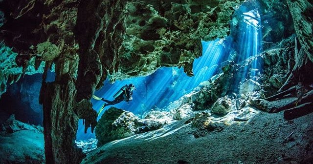 Scuba Diving Mexico | How To Dive or Swim in Mexico (FULL GUIDE)