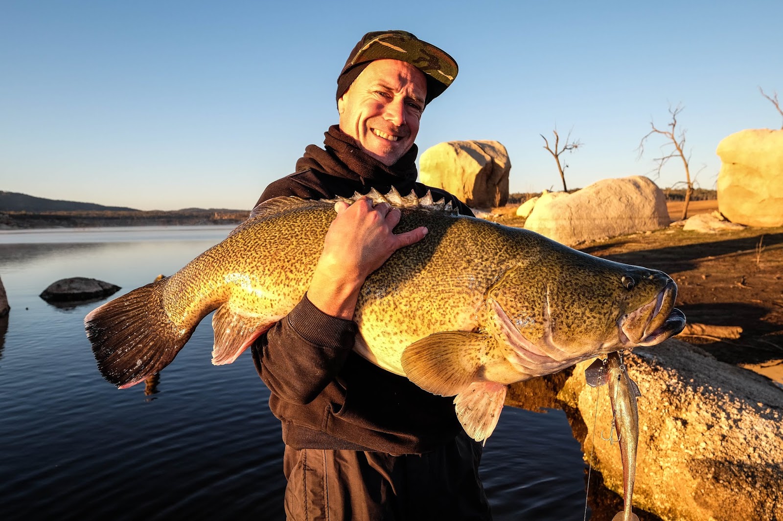 Copeton Dam Murray Cod - The Grind