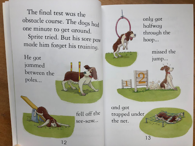 Abundant Family Living: Stories of Dogs (Read with Usborne, Level 3)