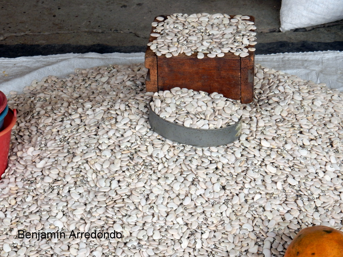 El Bable: Los cuarterones, medida en desuso oficial, pero en uso en ...