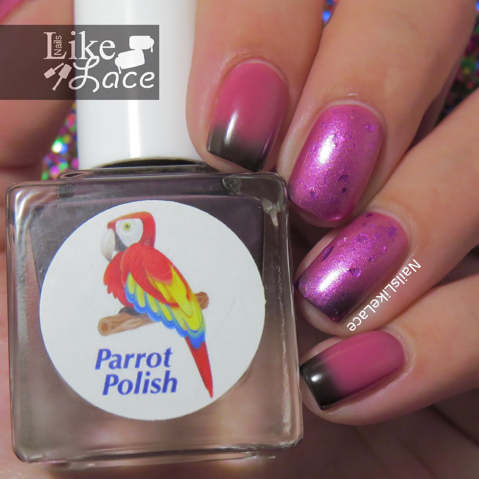 NailsLikeLace: Parrot Polish Haul - Live Swatches & Review