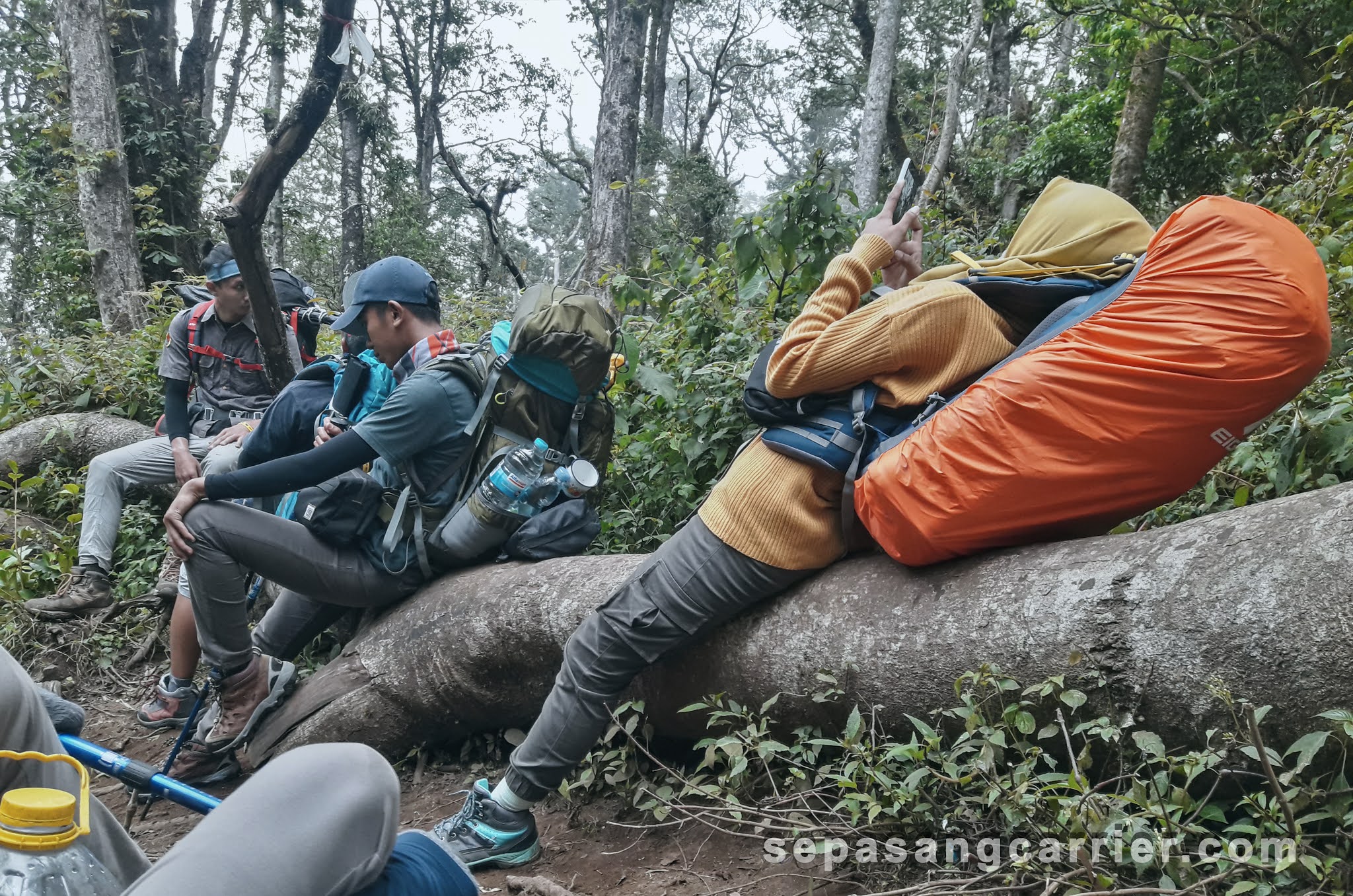 Pendakian Gunung Arjuno Via Cangar Sumber Brantas - SEPASANGCARRIER