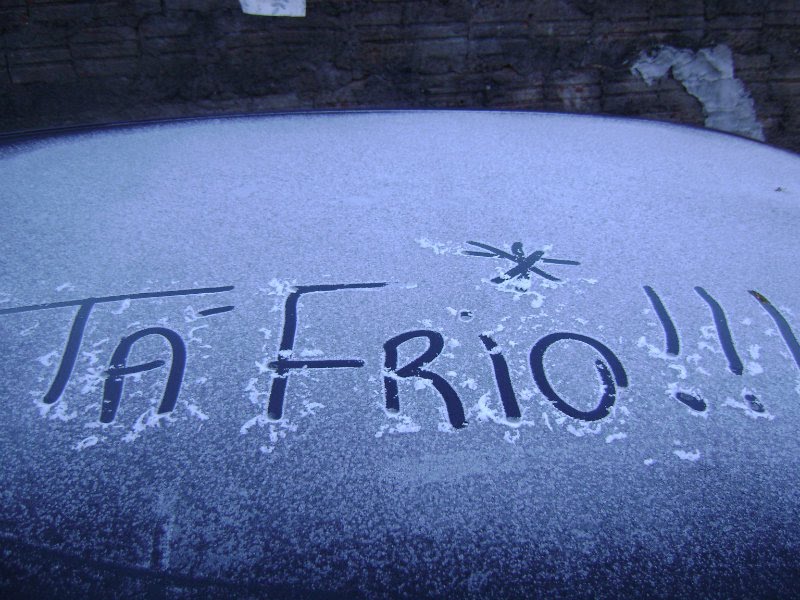 A VIDA É UM ETERNO APRENDIZADO: FRIO CONGELANTE