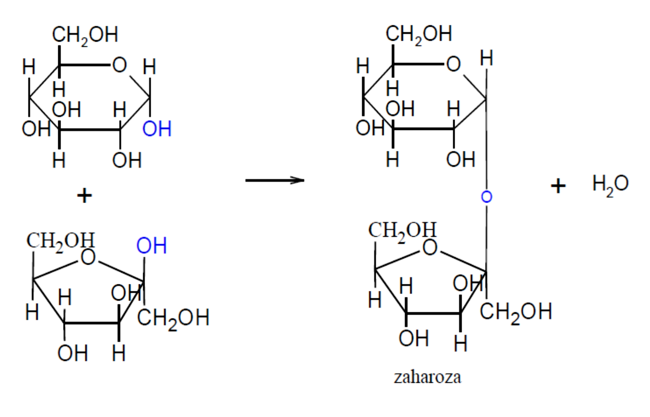 O doză de Chimie!: GLUCIDE