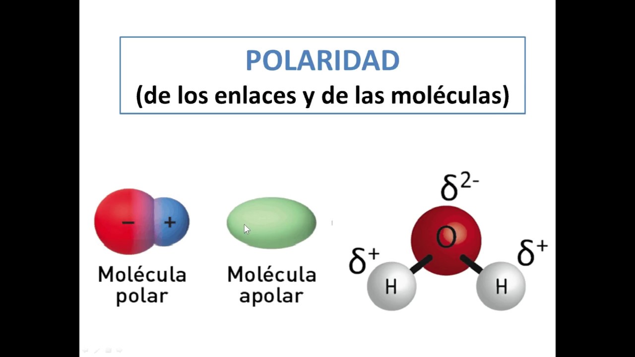 UNIDAD III "ELEMENTOS"