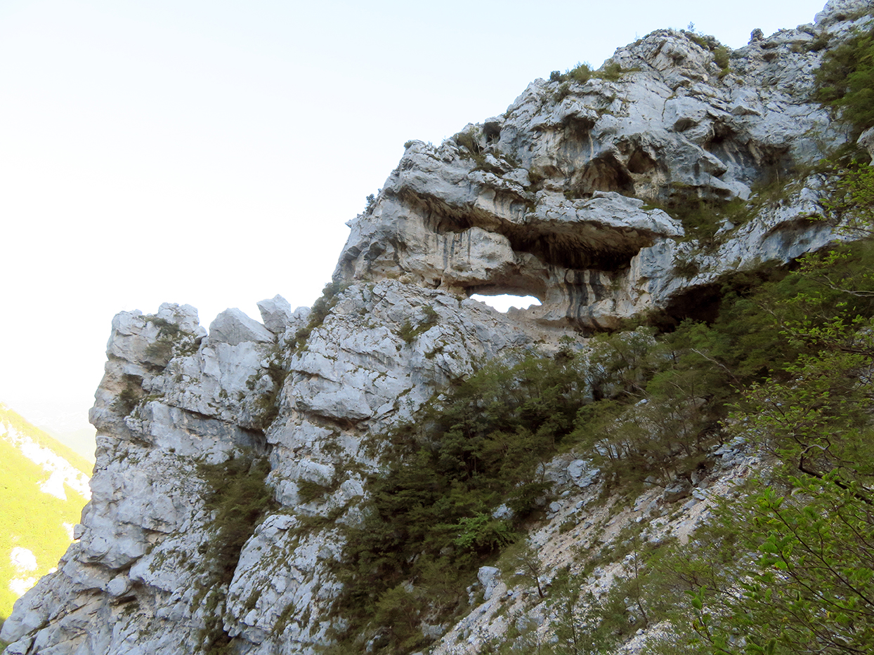 Escursionismo a 360°: Monte Nerone (da Santa Maria Val d’Abisso) E/EE