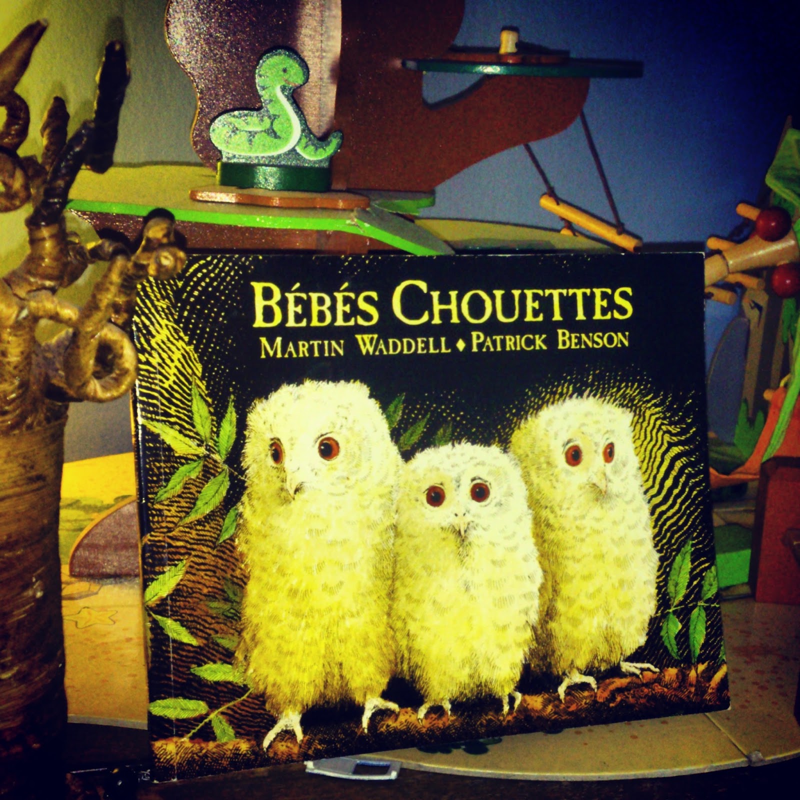 Cartons Pleins !: Bébés chouettes, par Martin Waddell et Patrick Benson