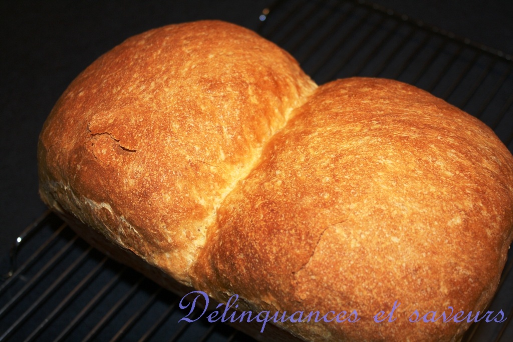 Délinquances et saveurs: Pain pistolet Belge